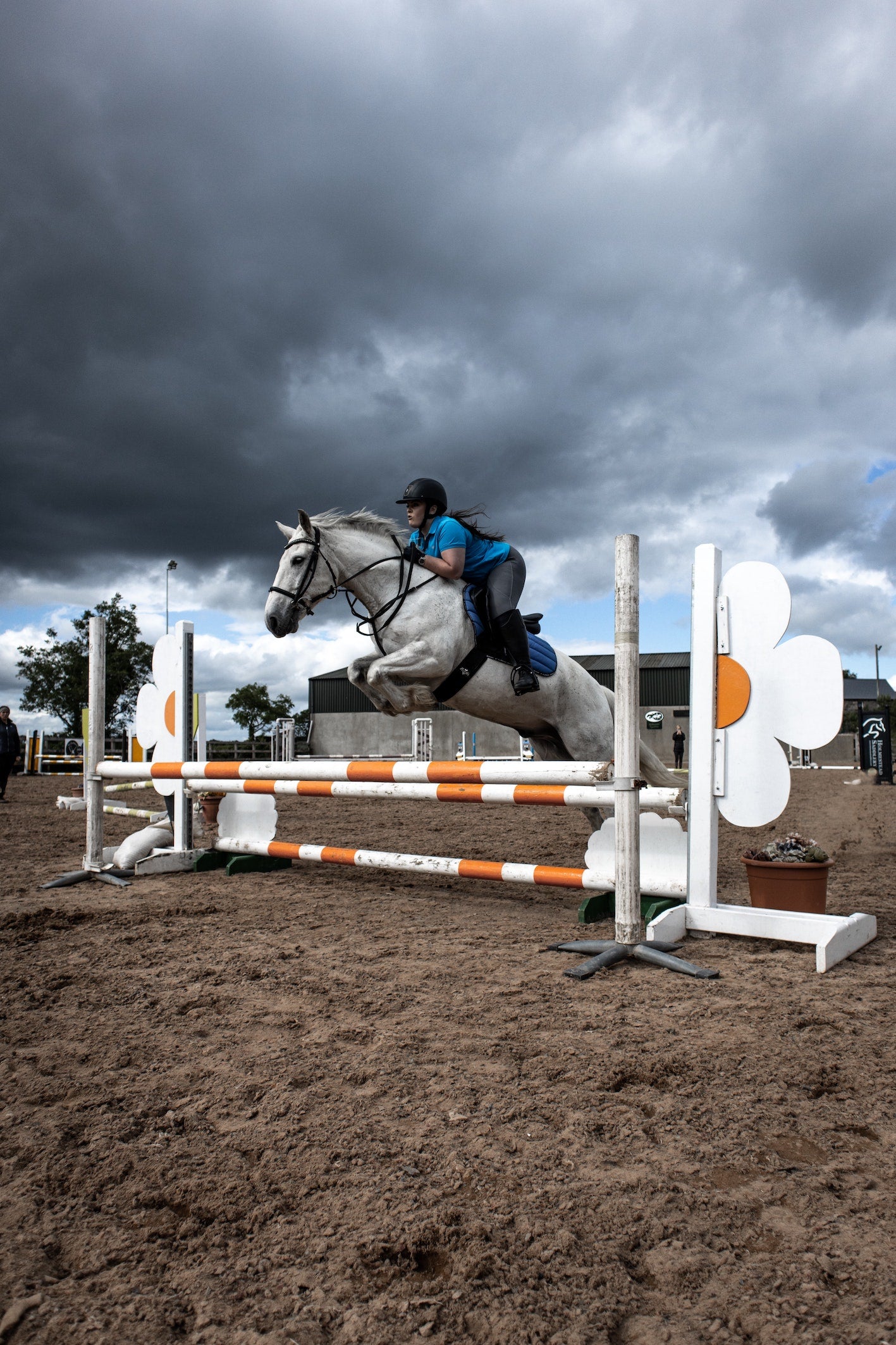 Everything you need to know about showjumping – Tanja Mitton